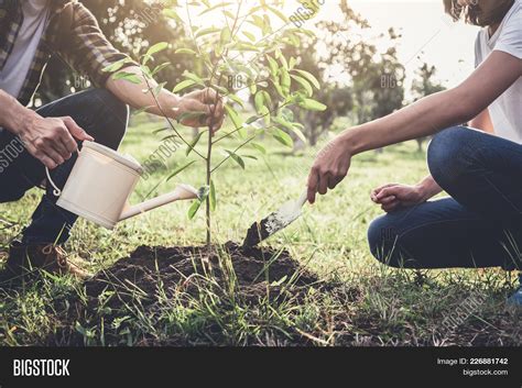 Babe Couple Planting Image Photo Free Trial Bigstock