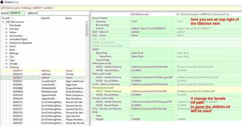 Invisible Armor Problem On Females Oblivion Technical Support LoversLab