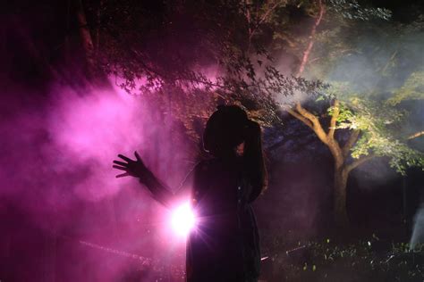 little Fairy Ⅱ GANREF