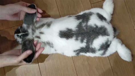 Zeronium Zeronium Twitter