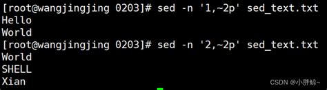 shell sed详解 CSDN博客