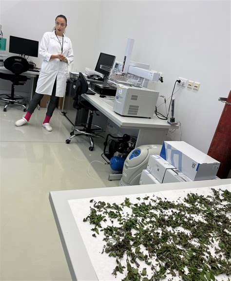 Szkoła Letnia „the Biostimulants And Other Modern Solutions For The Sustainable Development Of