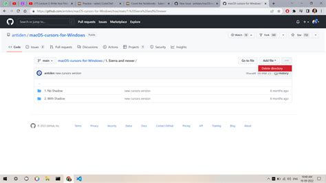 The Directory Is World Deletable · Issue 54 · Antidenmacos Cursors For Windows · Github