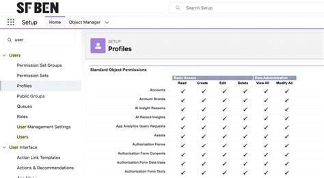 Grant Access Permissions To Salesforce Campaigns The Marketing User Checkbox Salesforce Ben
