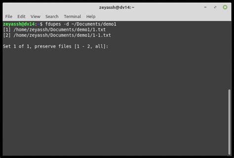How To Find And Remove Duplicate Files On Linux Using Fdupes