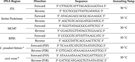Primers Used In Gene Amplification Download Scientific Diagram