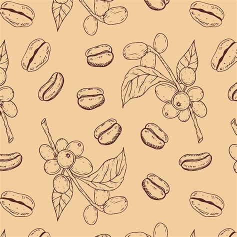 손으로 그린 커피 콩 드로잉 패턴 무료 벡터
