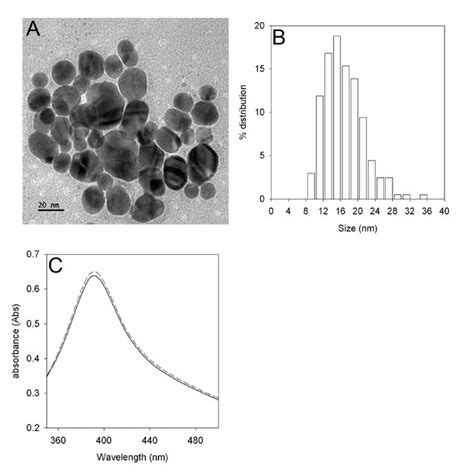 Figure S3 Dls Of Hydrodynamic Size Distribution Of Ag Nps Expressed By Download Scientific