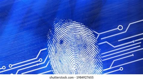 Fingerprint Animation Biometric Data Stock Photos Images Shutterstock