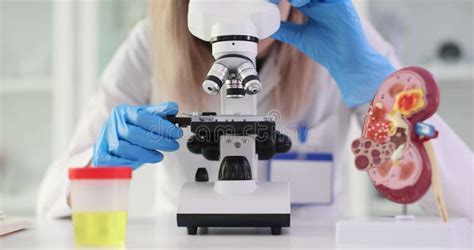 Doctor Examines Urine Test In Laboratory Stock Video Video Of
