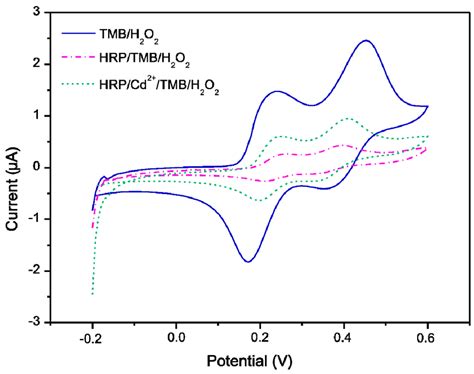 Cyclic Voltammetry Of Tmbh2o2 Hrptmbh2o2 And Hrpcd 2 Tmbh2o2