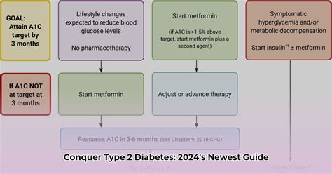 Type 2 Diabetes Treatment Algorithm A Comprehensive Guide 2024 Update Chaztin