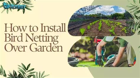 How To Install Bird Netting Over Garden 5 Easy Steps Guide