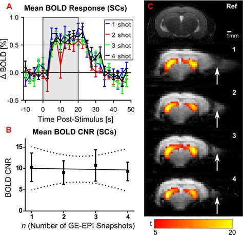Effects Of Using Snapshot Ge Epi For Mouse Brain Fmri A Mean Bold