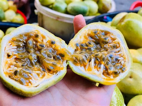 ទឹកដោះគោស្រស់ គ្រប់មុខ Added A ទឹកដោះគោស្រស់ គ្រប់មុខ