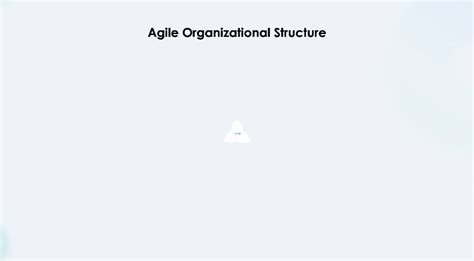 Agile Organization Model You Exec
