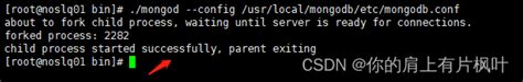 Linux启动并进入mongodb指令 mongodb启动命令 linux CSDN博客