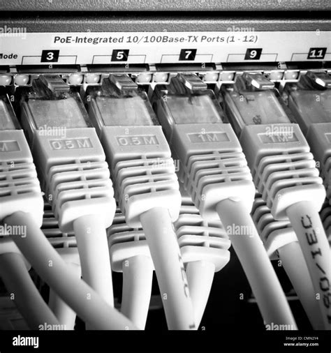 Close Up Of Network Cables Connected To Switch Stock Photo Alamy