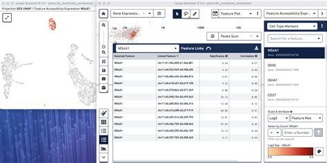 exploring feature linkages with loupe browser software single cell