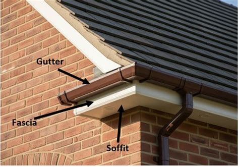 What Is Fascia Know When Fascia Replacement Is Needed