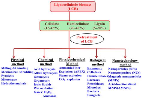 Lignocellulosic Biomass