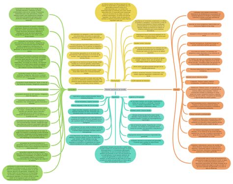 Plantas Vasculares Sin Semilla Coggle Diagram