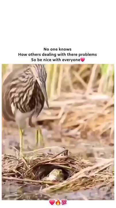 Sangram Pradhan On Linkedin Kindnessmatters Leadership Empathy