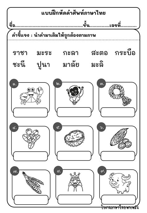 🍉แบ่งปันแบบฝึกหัดคำศัพท์ภาษาไทยง่ายๆ ใบงานภาษาไทยพาเพลิน