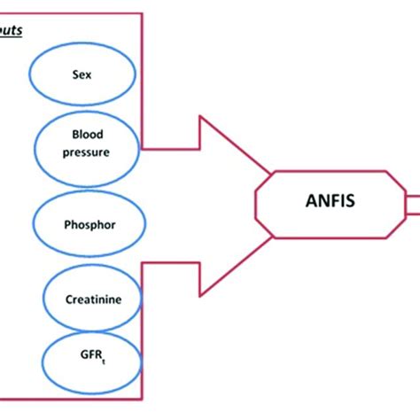 Schematic Diagram Of Predicting Model And Input Variables Download Scientific Diagram