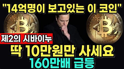 소액 투자해서 부자가 될 준비 2024년 가장 핫한 밈 코인 공개 Youtube