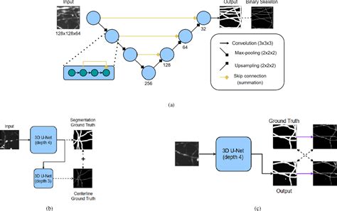 figure 2 from axon tracing and centerline detection using topologically