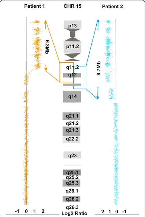 Snp Array Analysis Of Both Patients A Gain In Copy Number In The Download Scientific Diagram
