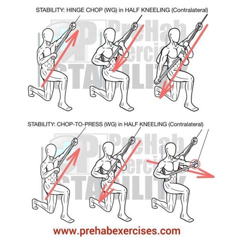 List Of Common Compensation Patterns And Movement Dysfunctions Artofit