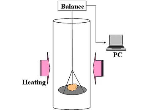 Thermogravimetric Analyzer System Download Scientific Diagram