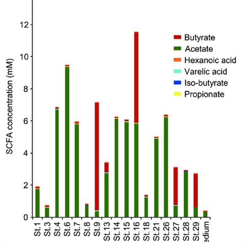 Scfa Production By Each Of The 17 Strains Liquid Download