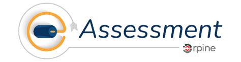 E Assessment