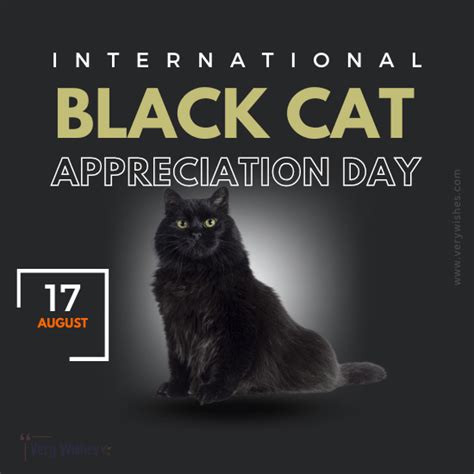 National Black Cat Appreciation Day Aug 17 Wishes Myths Messages