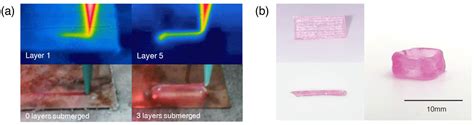 Cryopreservation Of 3d Bioprinted Scaffolds With Temperature Controlled Cryoprinting