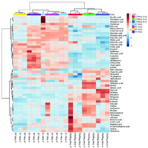 Heatmap Representing Differences In Relative Metabolite Concentrations