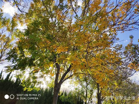 烟台的秋天 知乎