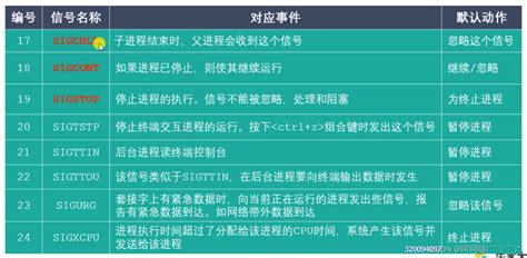 基于linux下的高并发服务器开发（第二章） 2 19 csdn博客