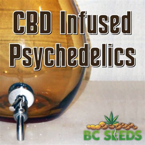 Cbd Infused Psychedelics Aim To Create A Great Synergistic Effect
