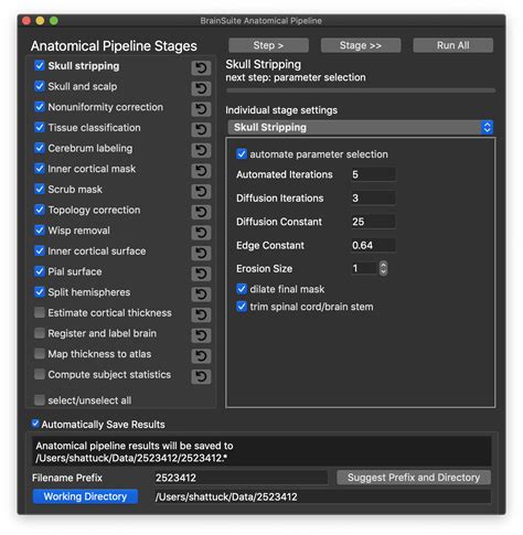 Brainsuite23a · Brainsuite