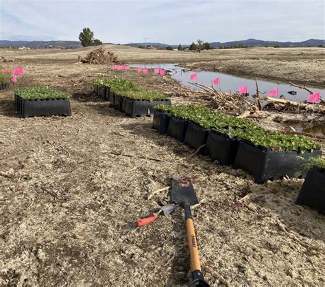 Ochoco Preserve Deschutes Land Trust