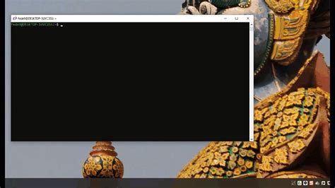Pengwin Gui Apps Not Working With Vcxsrv · Issue 558