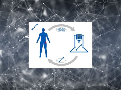 3d Printing Polycaprolactone And Hydroxyapatite Compmech
