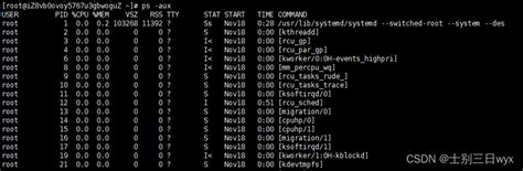 linux ps命令详解，linux查看进程 linux ps ef显示的信息 csdn博客