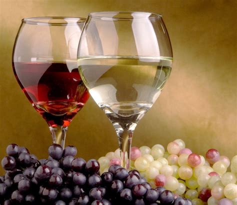Goods from the Mediterranean Basin - wine In Vino Veritas, Wine ...