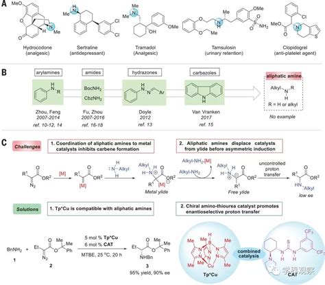 周其林及朱守非团队Science发表脂肪胺NH键的高对映选择性卡宾插入合成手性氨基酸 元素有机化学国家重点实验室