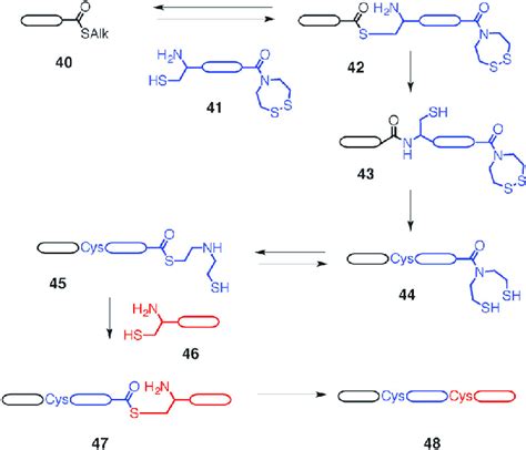 Formal Orthogonal Dynamic Covalent Bonds In Advanced Native Chemical Download Scientific